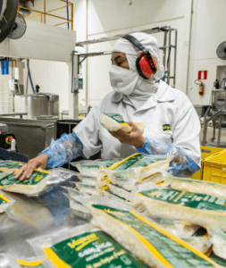 Vapza Alimentos - We.Flow